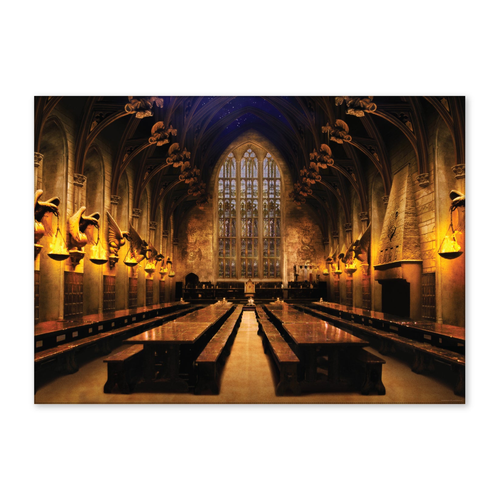 Harry Potter Hogwarts Great Hall 5ft x 7ft Backdrop Banner ...